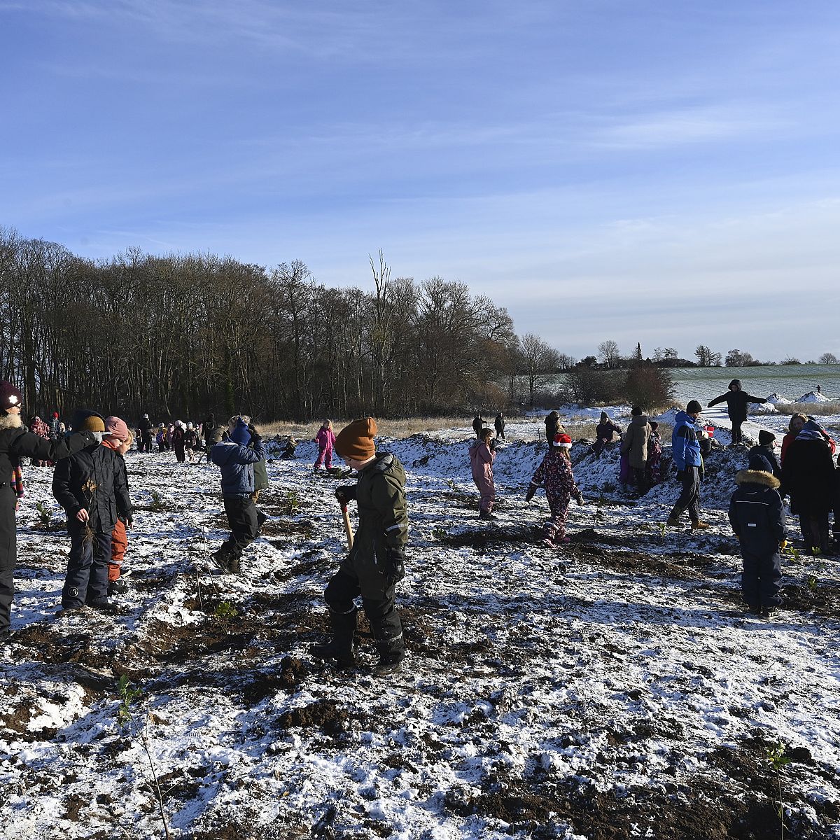 400 children plant school forest in Denmark with C.F. Møller Architects ...