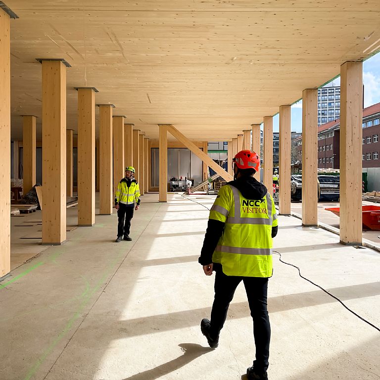 Insights: Timber Buildings improving life for people and the planet - C ...