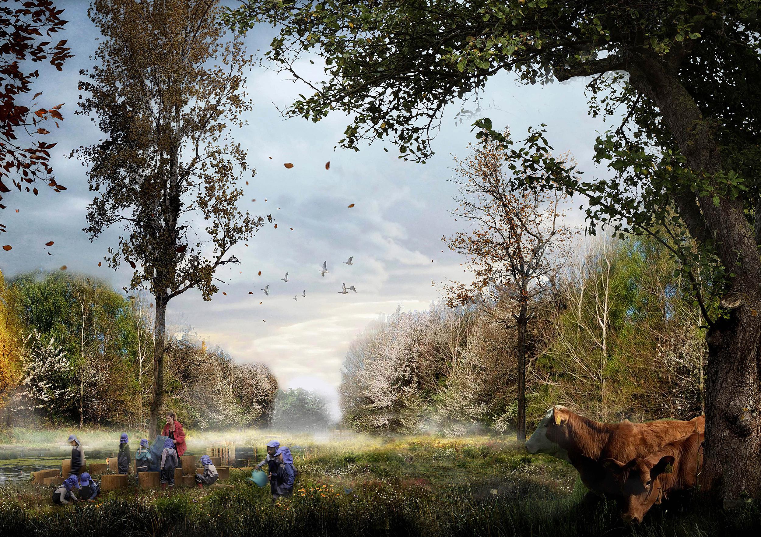 Ajstrup School Forest - Projects - C.F. Møller