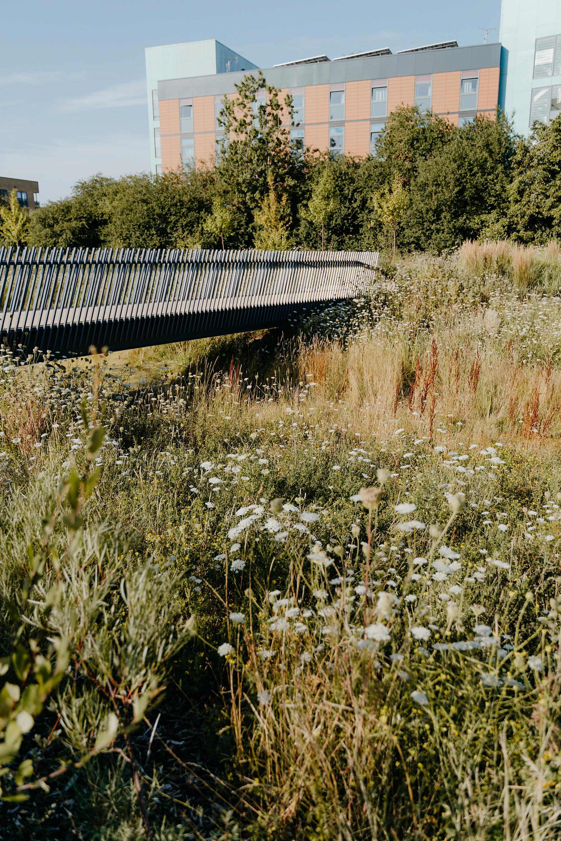 Springfield Park - Projects - C.F. Møller