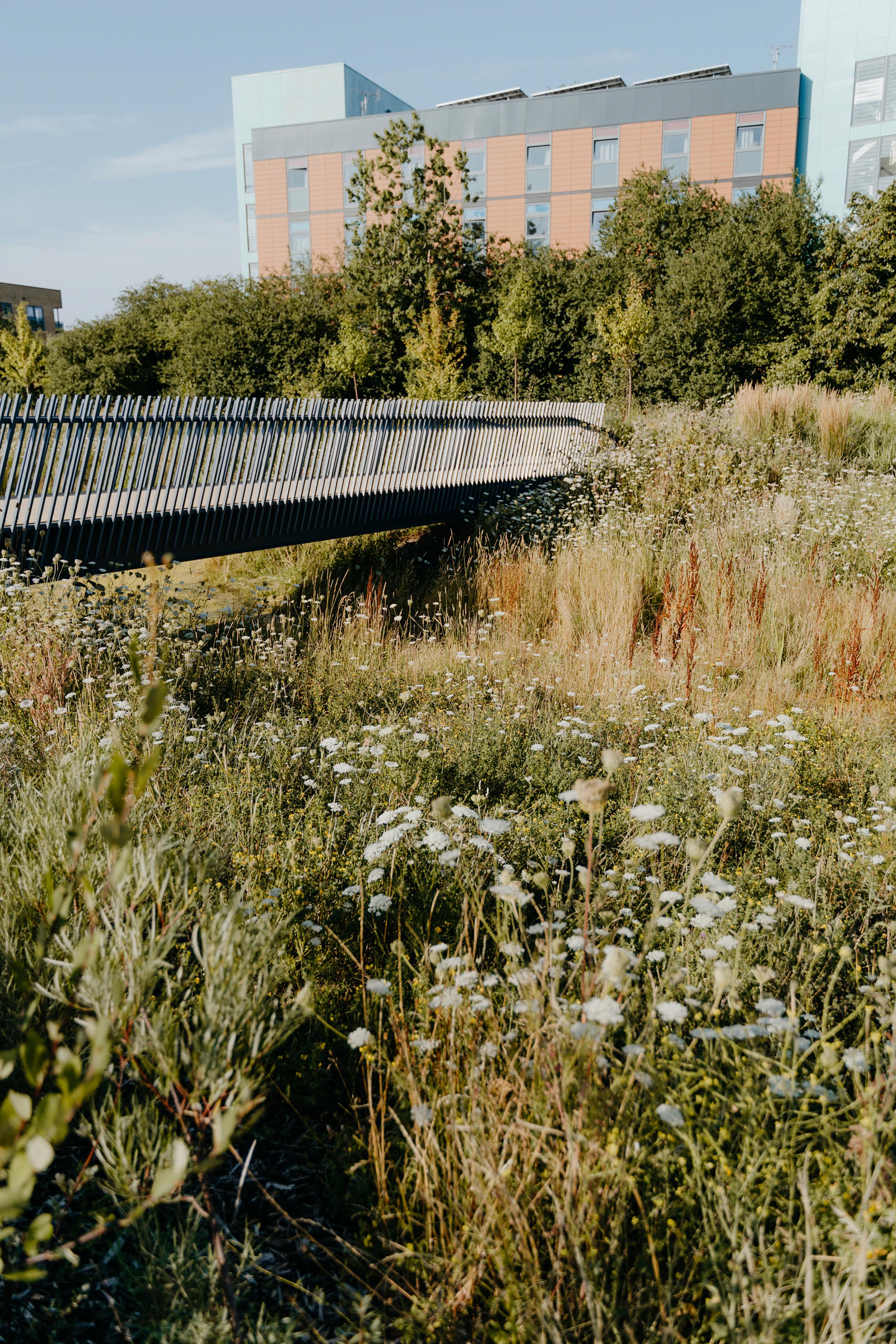 Springfield Park - Projects - C.F. Møller